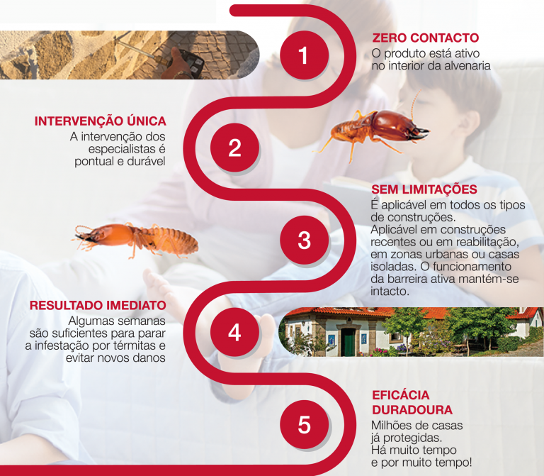 Termidor® - A solução profissional anti térmitas - Pluggo - Wood For Life